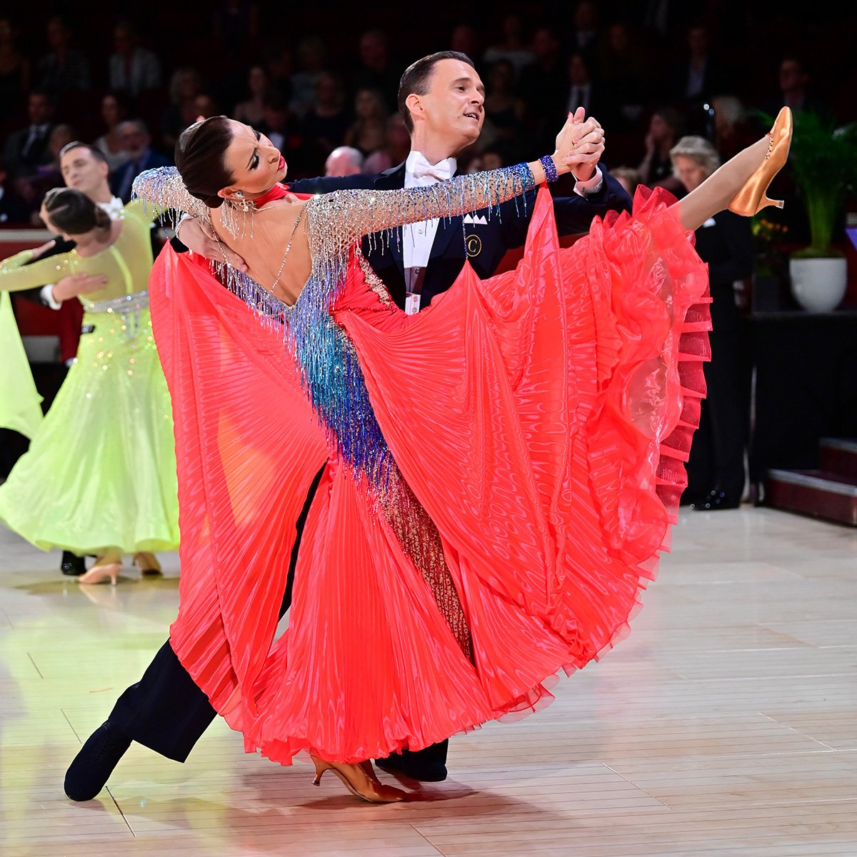 Shiny Chiffon January Discount